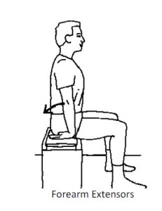 Eccentric Elbow Exercises for Lateral Epicondylitis - Murrell Orthopedics